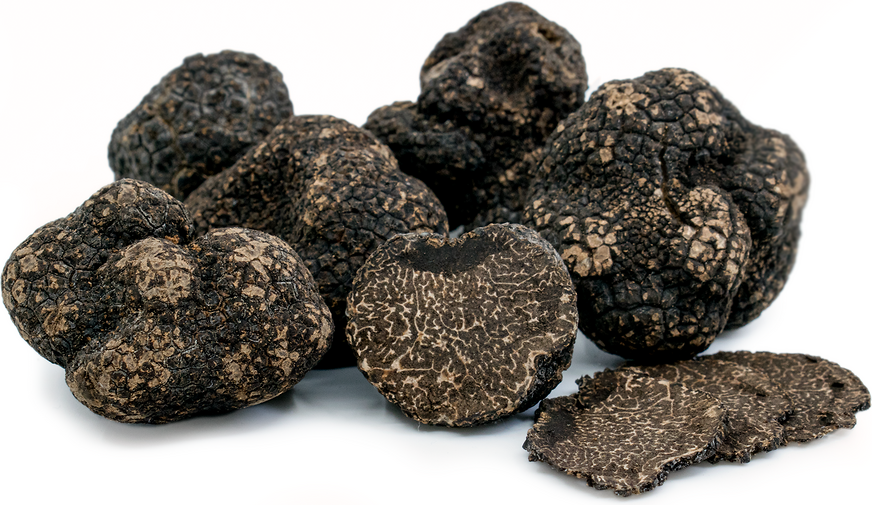 Meet Massimo Vidoni. The Famous Truffle Man - Arte & Lusso