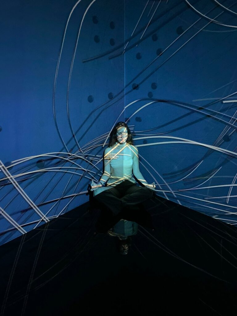 RAISE VIBRATION - Gaudi, Kandinsky and Klee at Infinity des Lumières ...